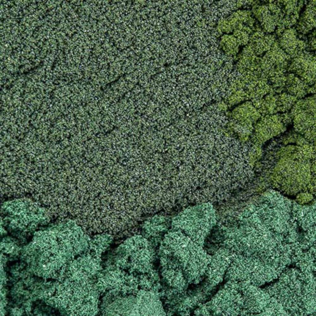 Super Blue Green Algae Supplements | Nature's Sunshine