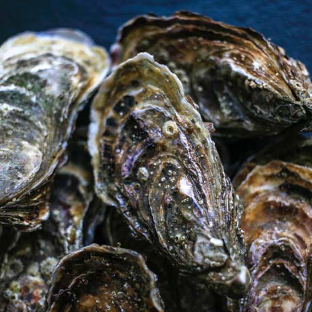 Stress Relief Products l Stress Relief TCM | Nature's Sunshine